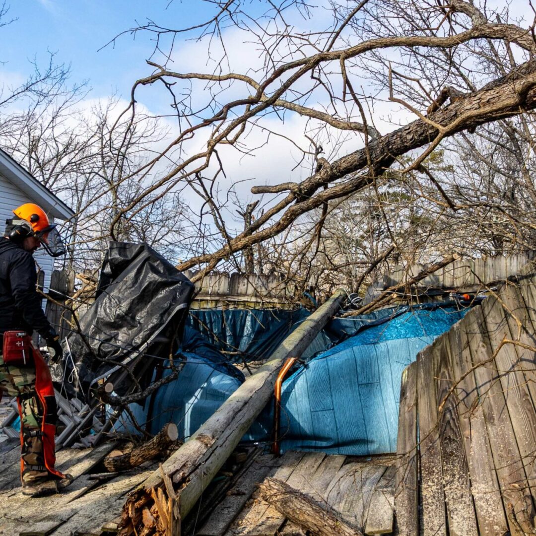Typhoon Halong Creates Alaska Disaster as Communities Face Winter